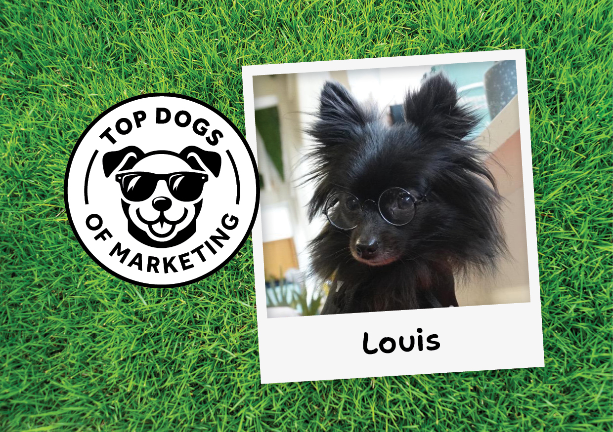 Top Dogs of Marketing: Louis from the Marketing Association - New ...