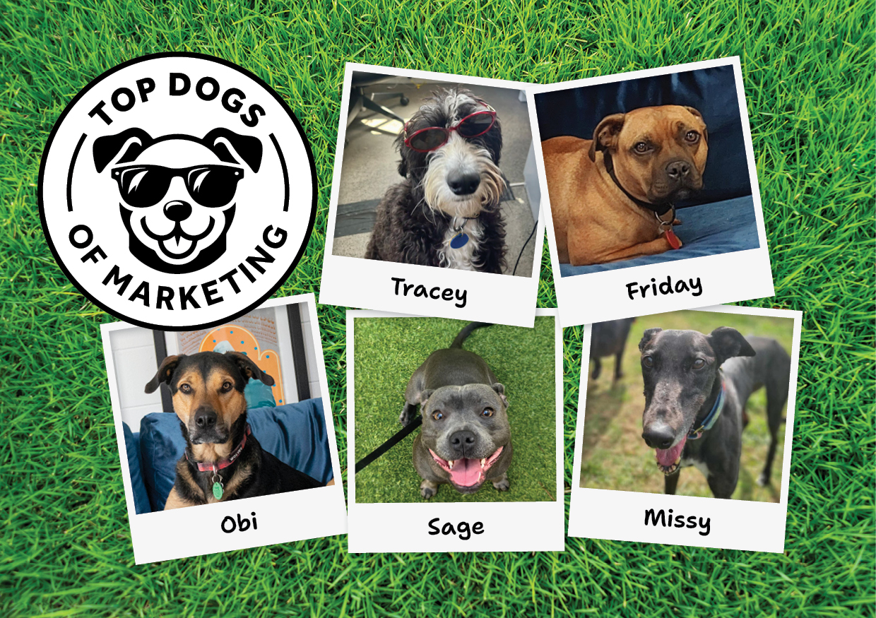 Top Dogs of Marketing: the crew at Phantom Billstickers - New Zealand ...