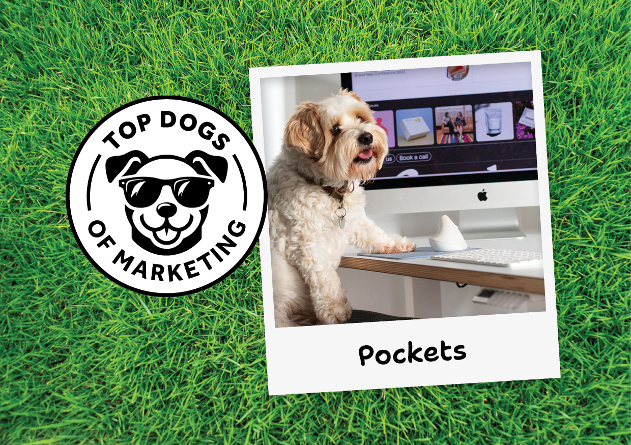 Top Dogs of Marketing: Pockets from Kindred Studio - New Zealand ...