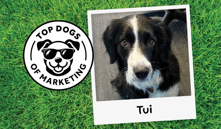 Top Dogs of Marketing: Tui from FCB Aotearoa - New Zealand Marketing ...