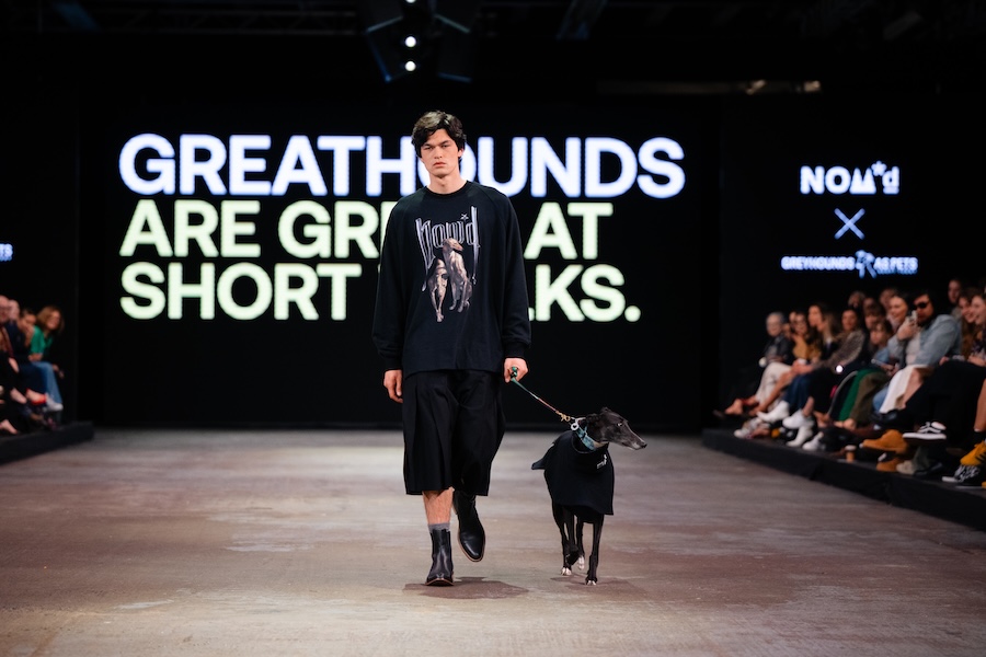 Top Dogs of Marketing: 'GreatHounds' x Special - New Zealand Marketing ...