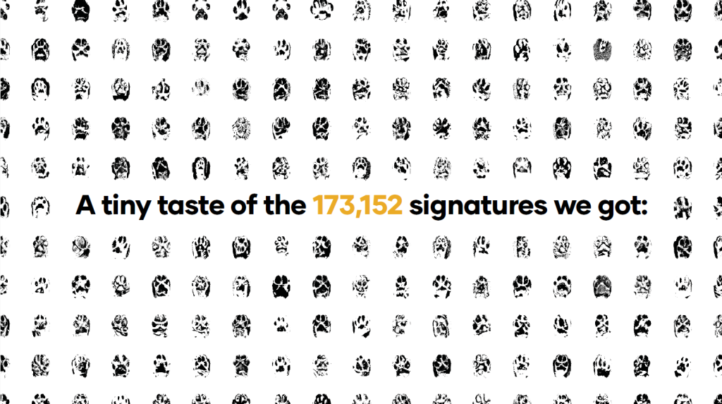 Best Overall Marketing Campaign winner 2025: Animates NZ Holdings - New ...